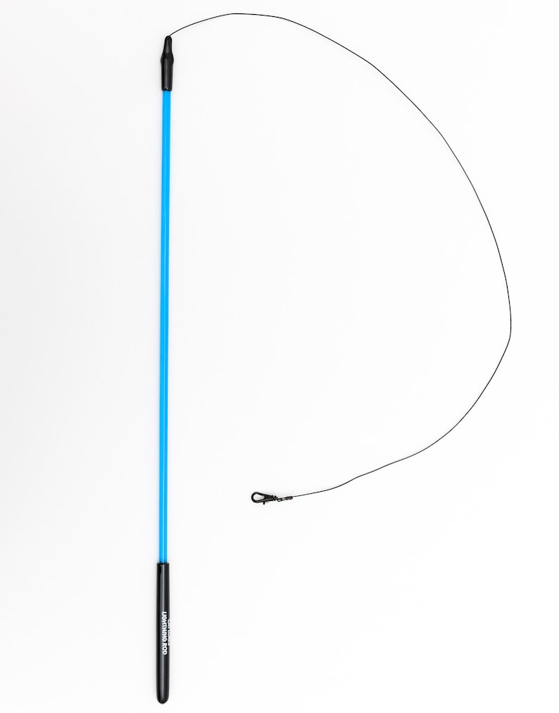 Cat Lures Lightning Rod! - Etsy