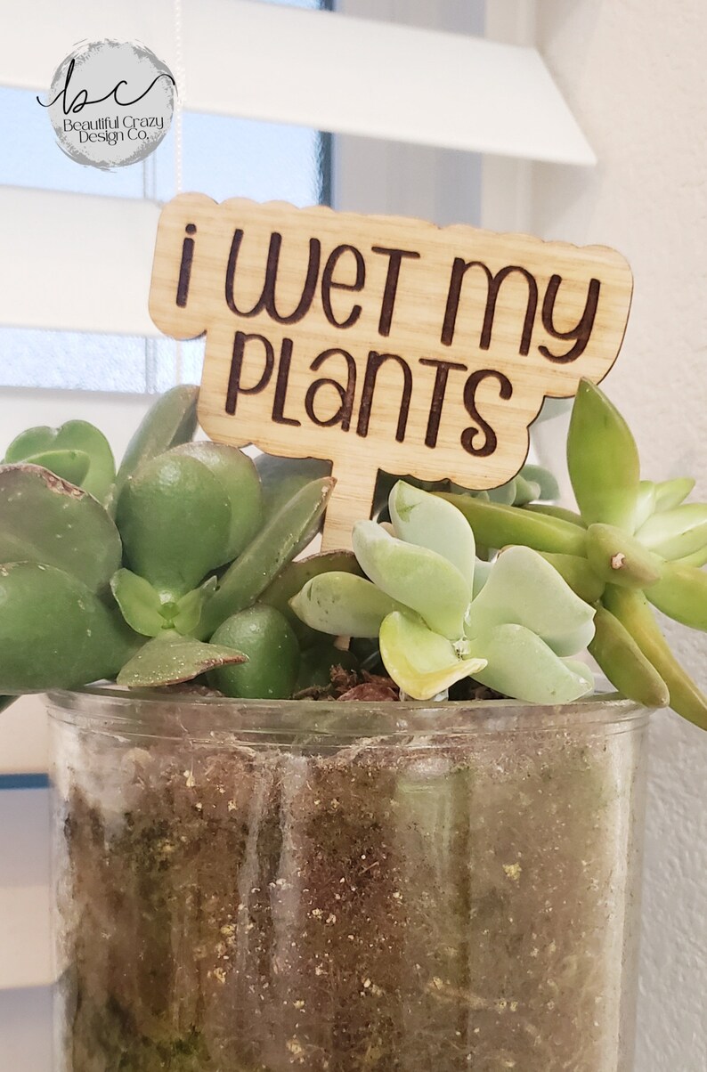 Wood Plant Stakes With Funny Sayings Set of 6 Succulent - Etsy