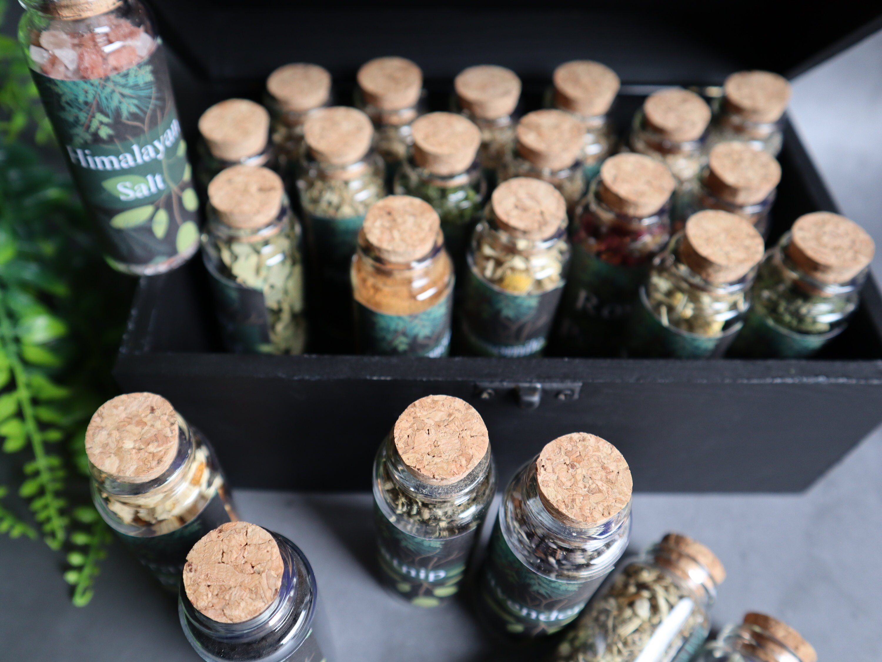 Witchcraft Apothecary Dried Herbs, Roots, Flowers in a Hand Painted ...