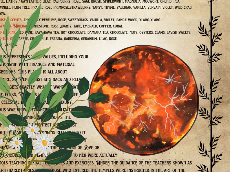 Venus Planetary Magical Correspondences Cosmic Witch - Etsy