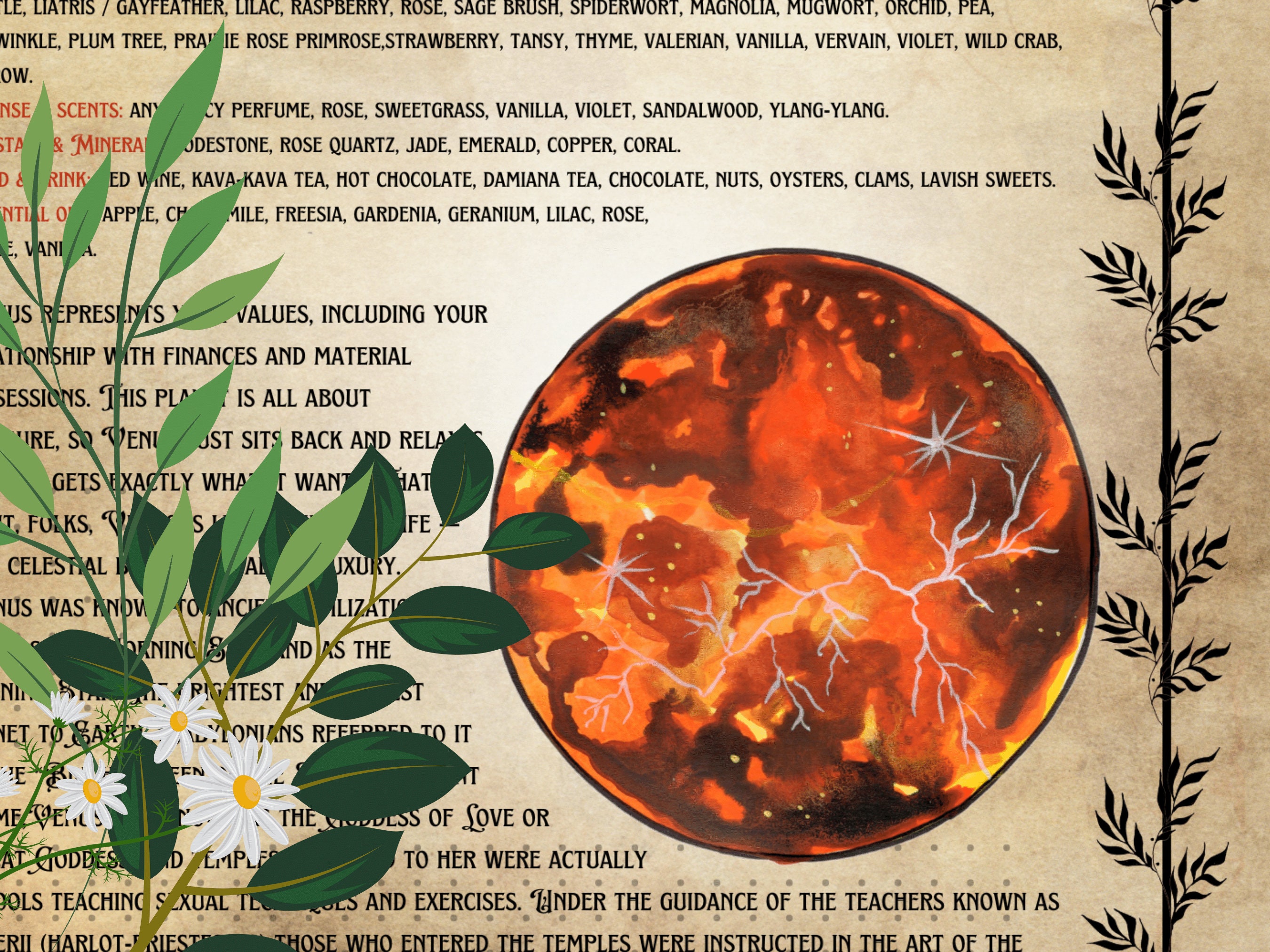 Venus Planetary Magical Correspondences Cosmic Witch - Etsy