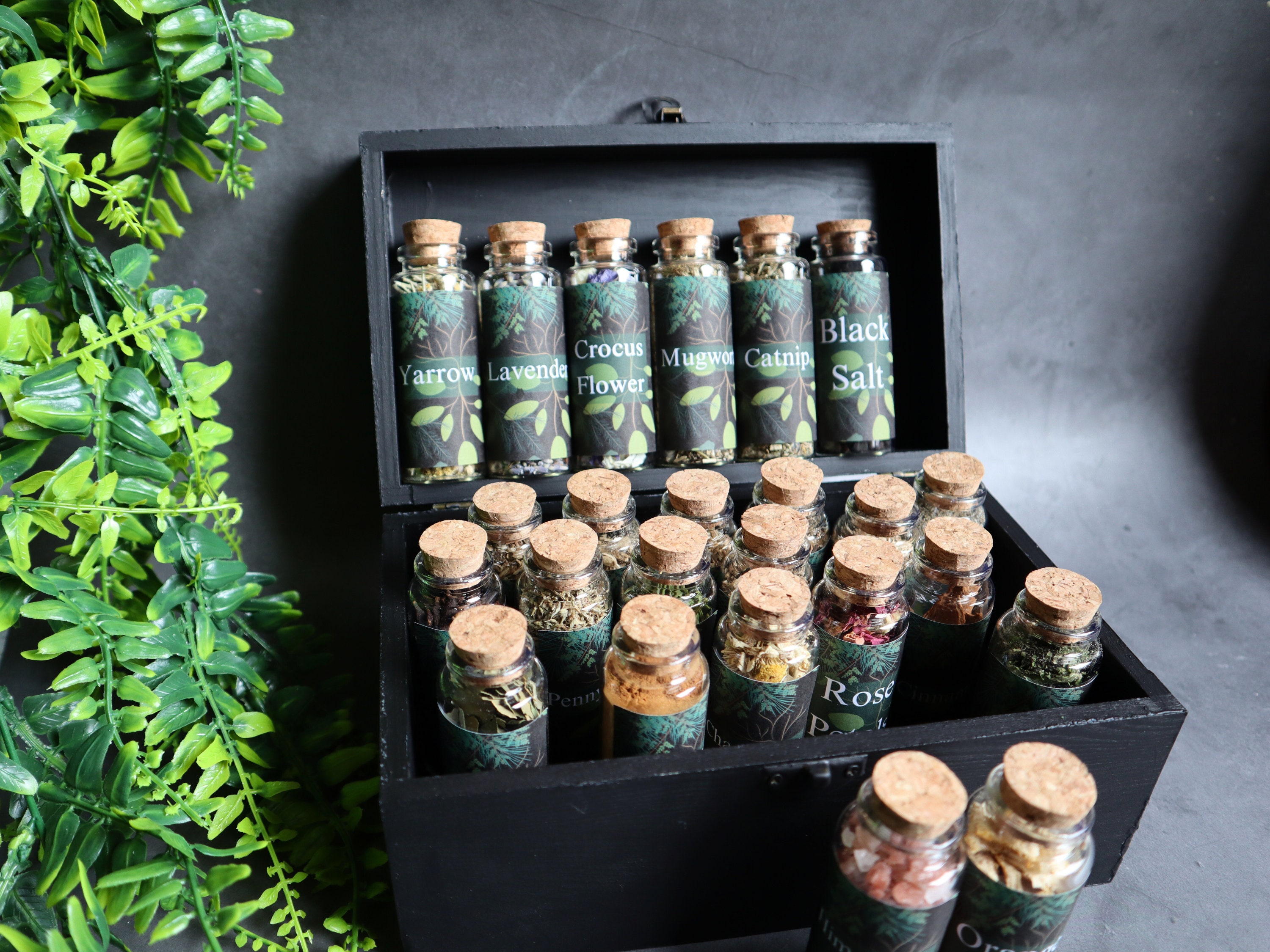 Witchcraft Apothecary Dried Herbs, Roots, Flowers in a Hand Painted ...