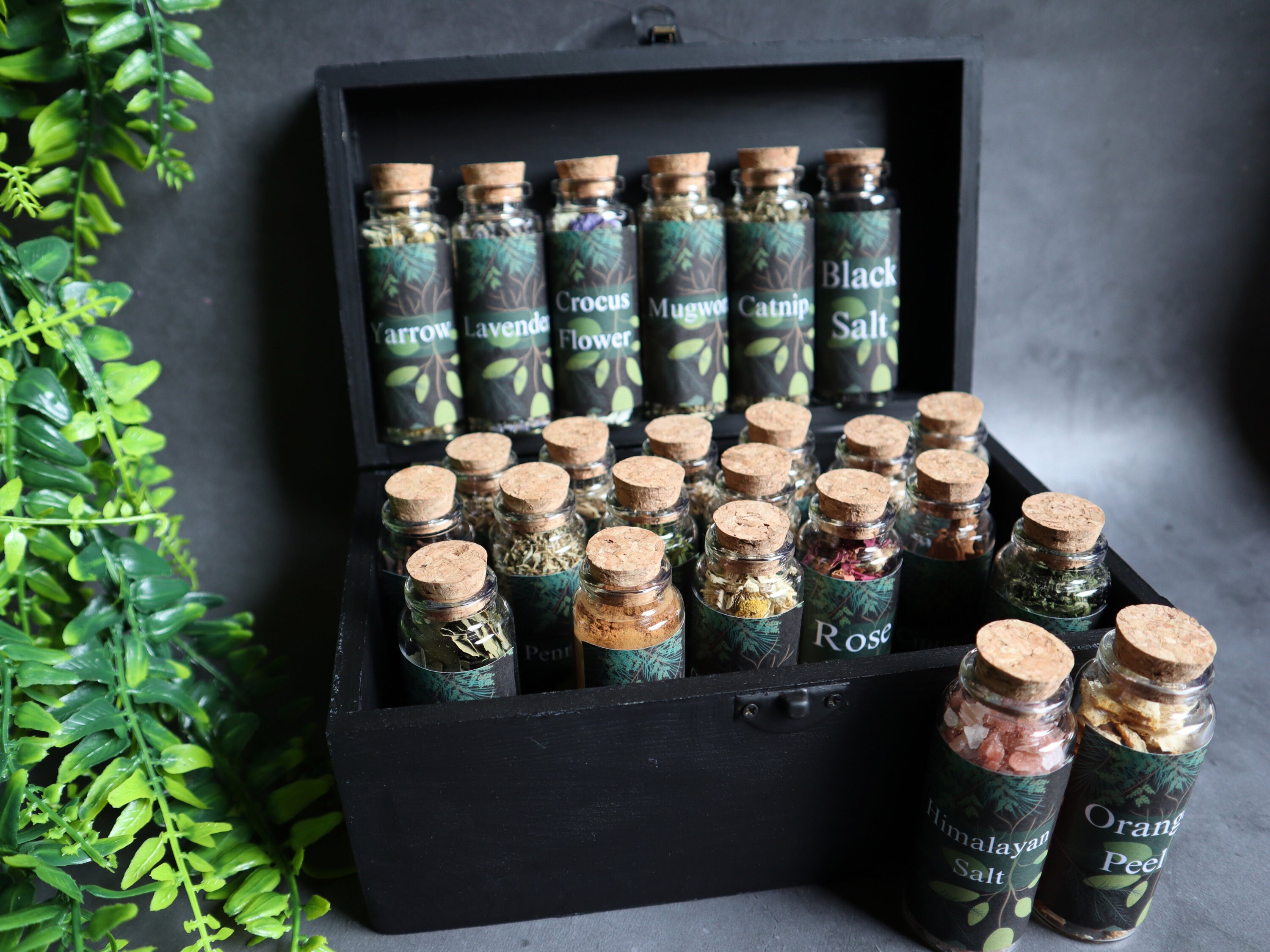 Witchcraft Apothecary Dried Herbs, Roots, Flowers in a Hand Painted ...