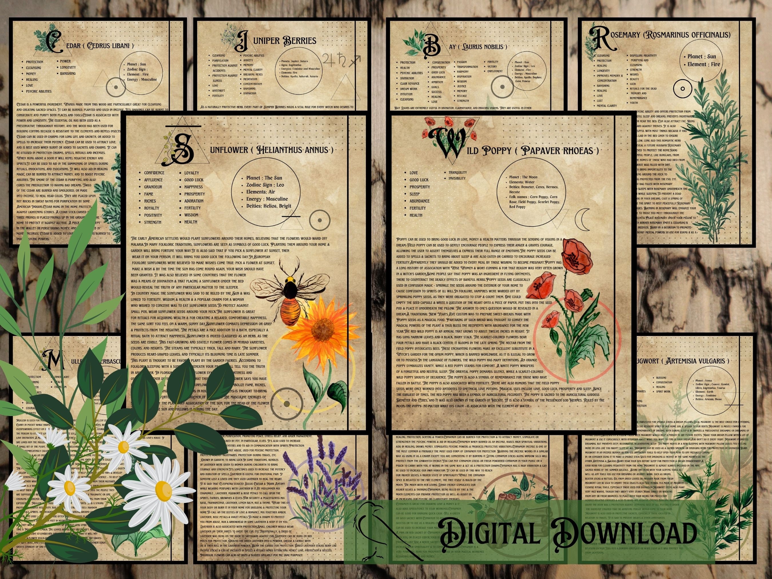 Grimoire Herbal Printable Page Book of Shadows Pagan Witchcraft Green ...
