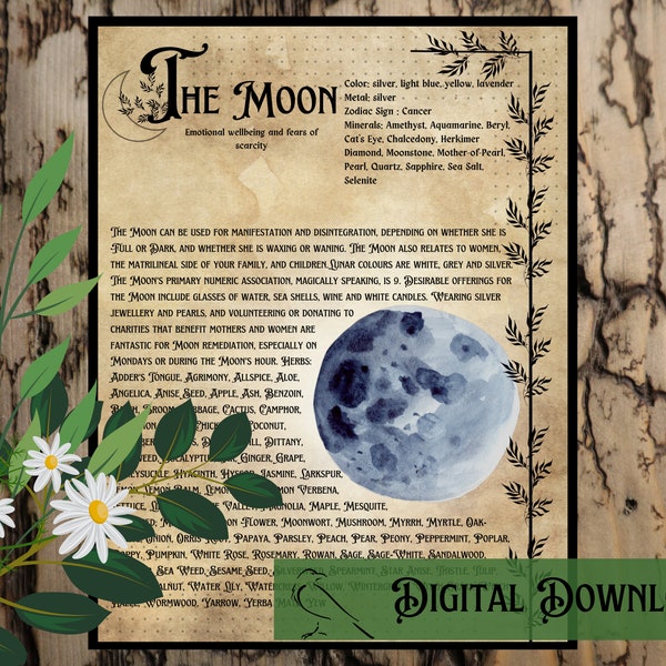 Venus Planetary Magical Correspondences Cosmic Witch grimoire Page BOS ...