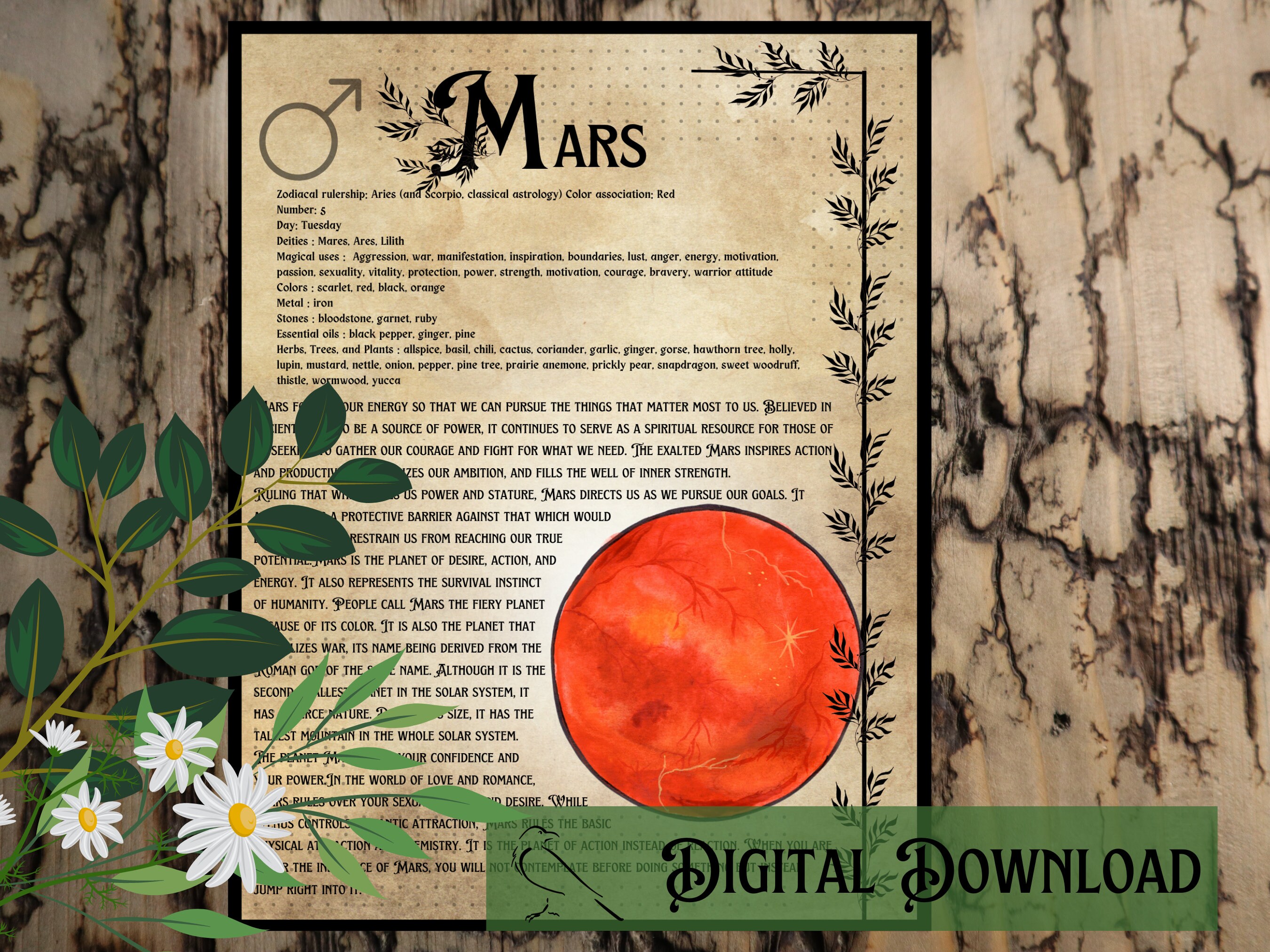 The Planet Mars Planetary Magical Correspondences Cosmic Witch grimoire ...