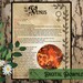 Venus Planetary Magical Correspondences Cosmic Witch - Etsy