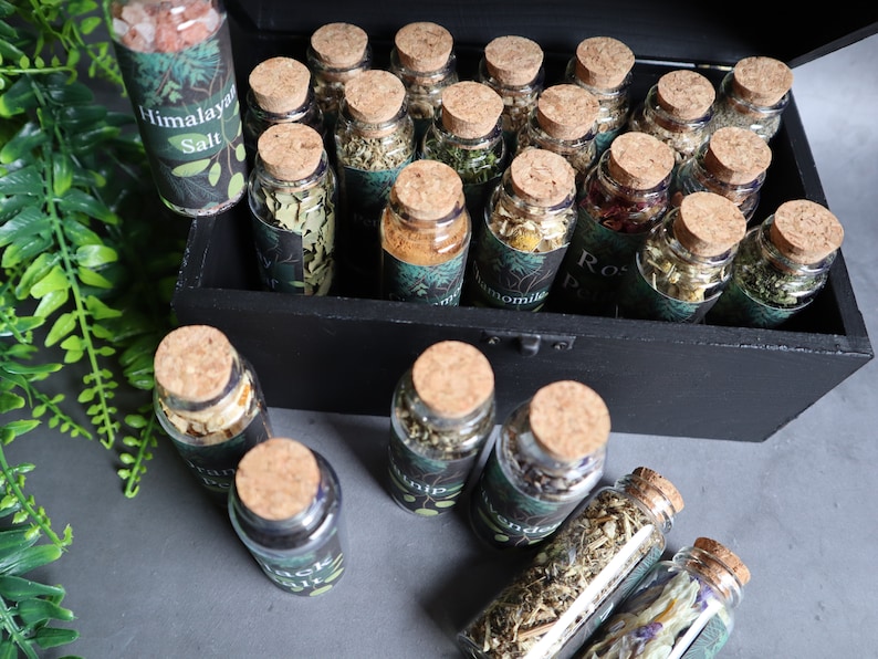 Witchcraft Apothecary Dried Herbs, Roots, Flowers in a Hand Painted ...