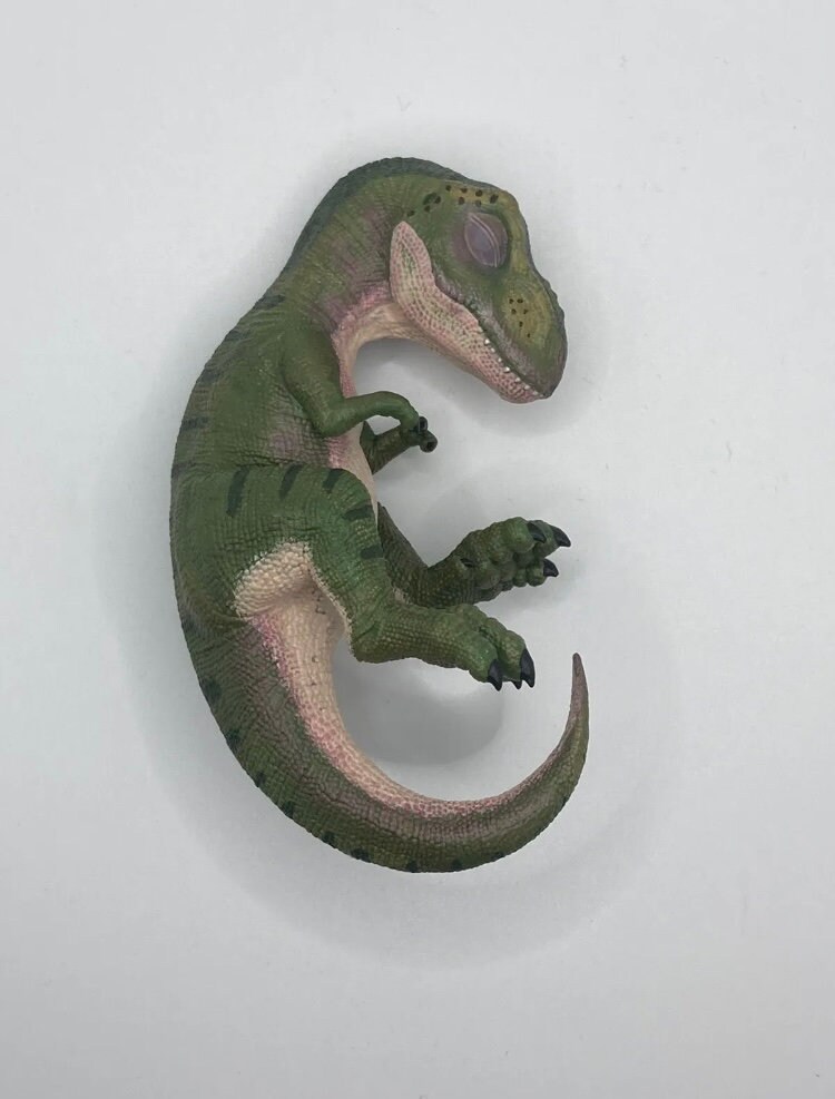 Custom Rebor Oddities Jurassic Park World Bull Buck T. Rex ...