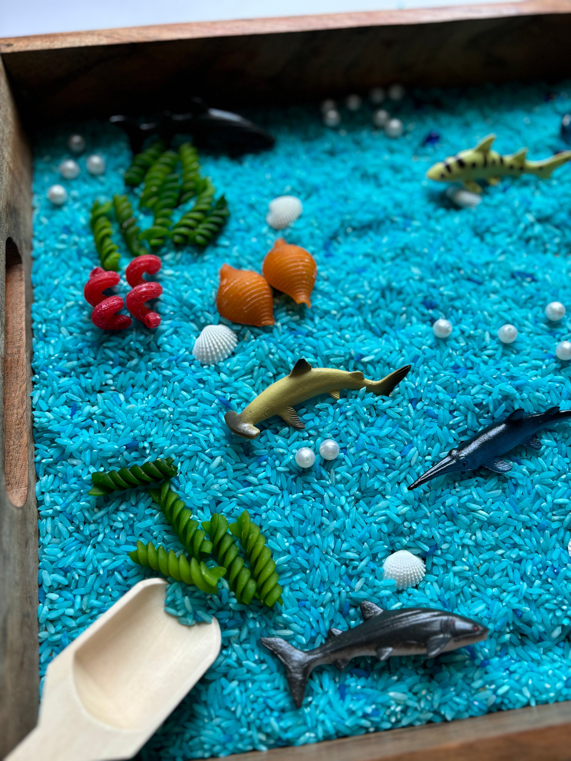 Ocean Sensory Bin Sensory Bin Sensory Play Shark Sensory Bin Ocean ...
