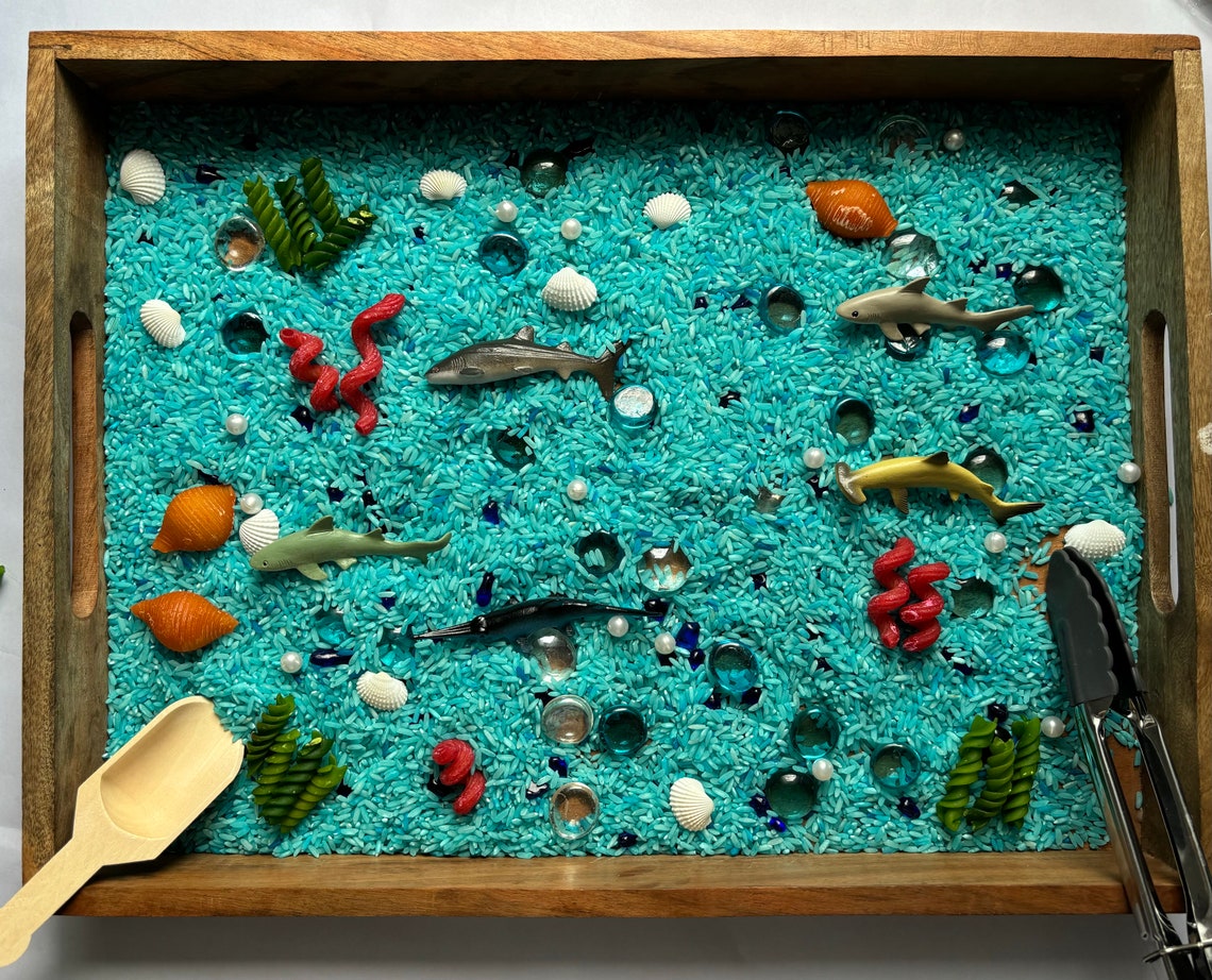 Ocean Sensory Bin Sensory Bin Sensory Play Shark Sensory Bin Ocean ...