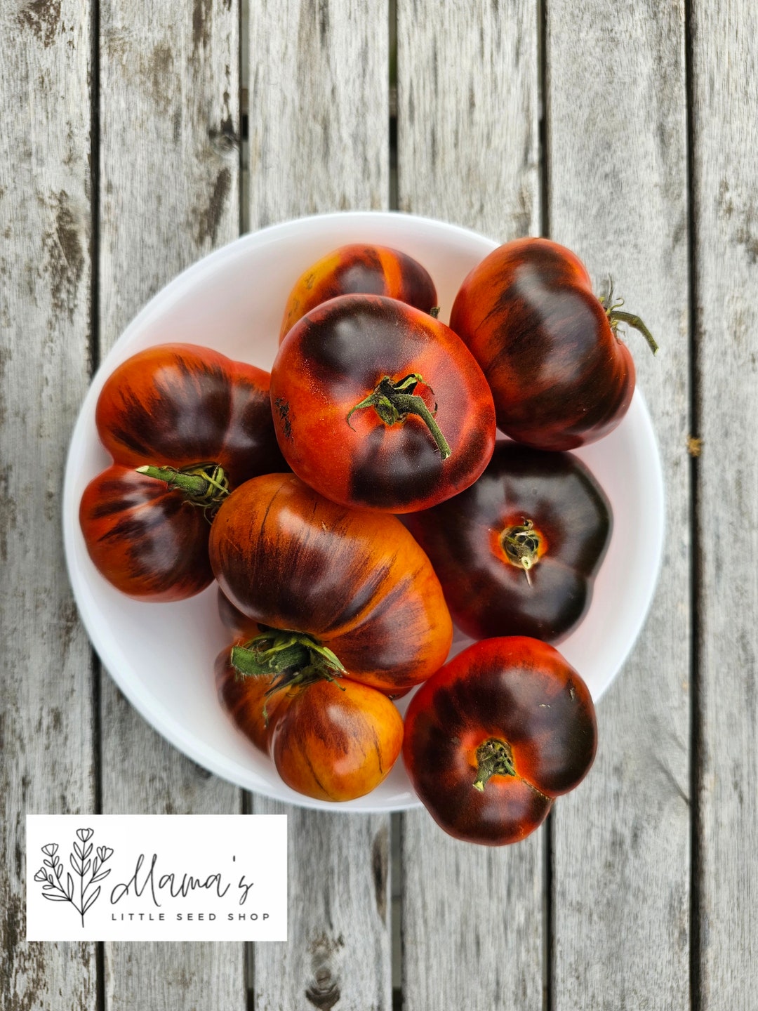 LUCID GEM Unique Tomato Seeds 15 Seeds Open-pollinated Canadian Grown ...