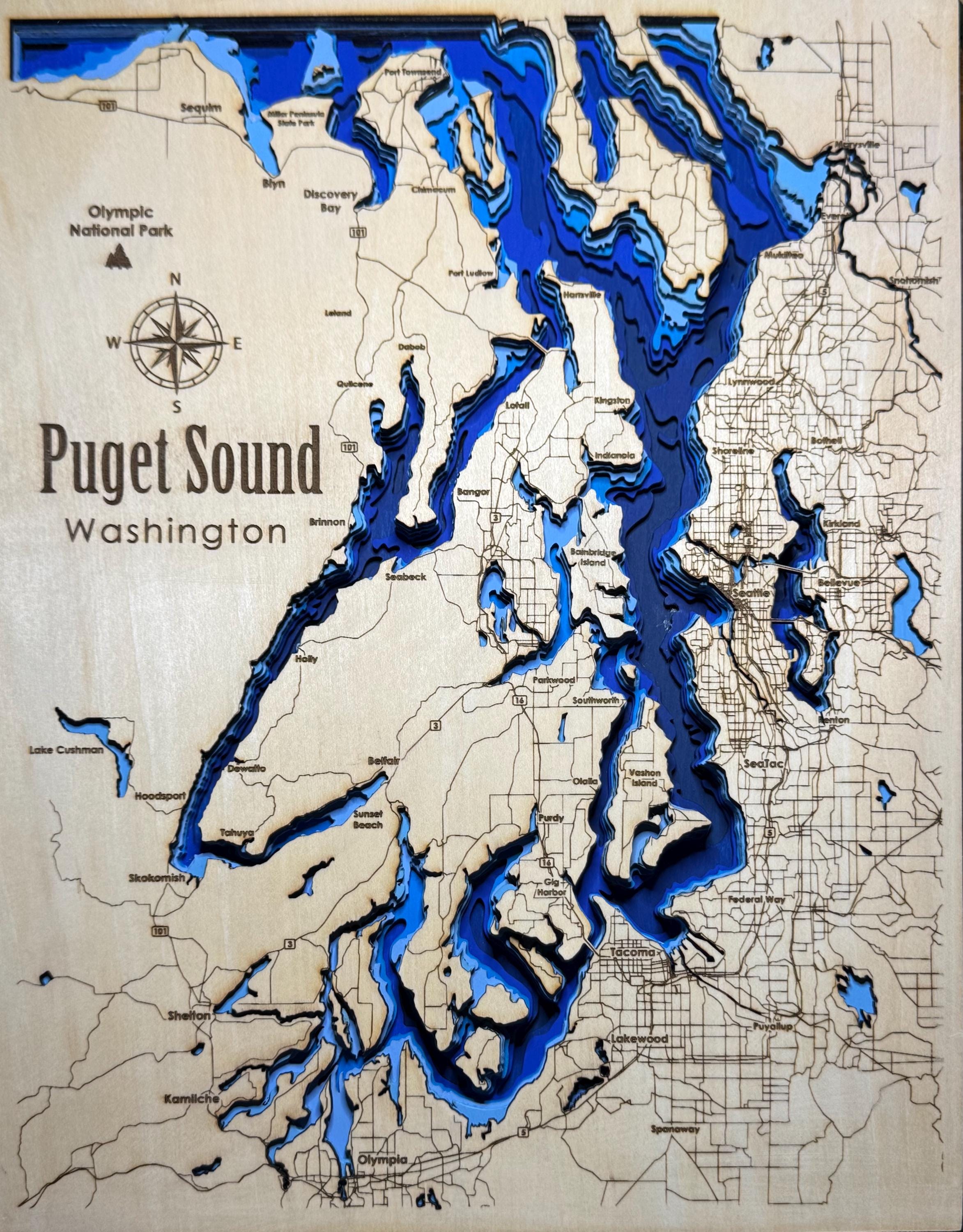 Puget Sound 3D Bathymetric Map - Etsy
