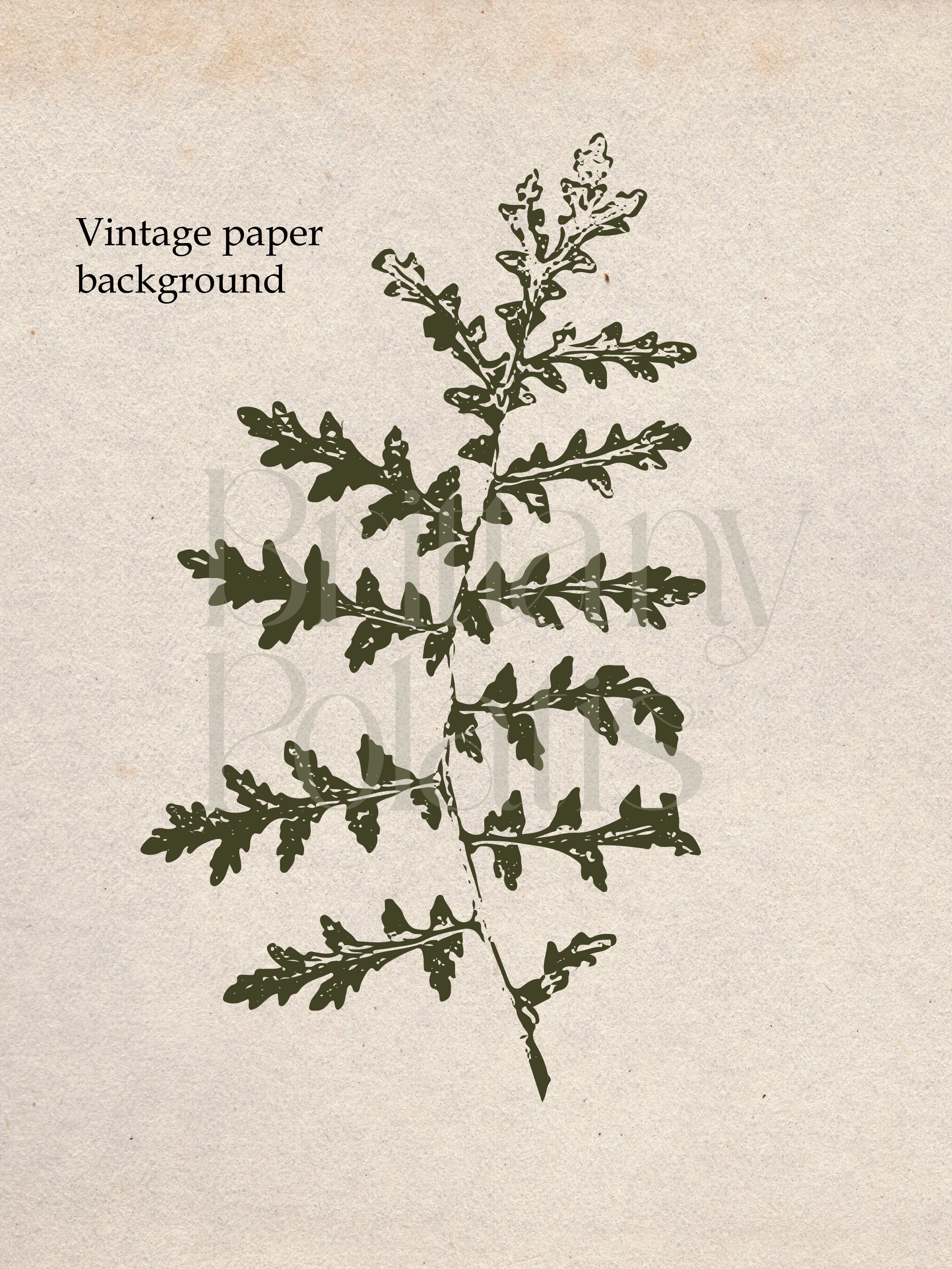 Vintage Nature Posters Modern Farmhouse Decor Greenery Wall Art ...