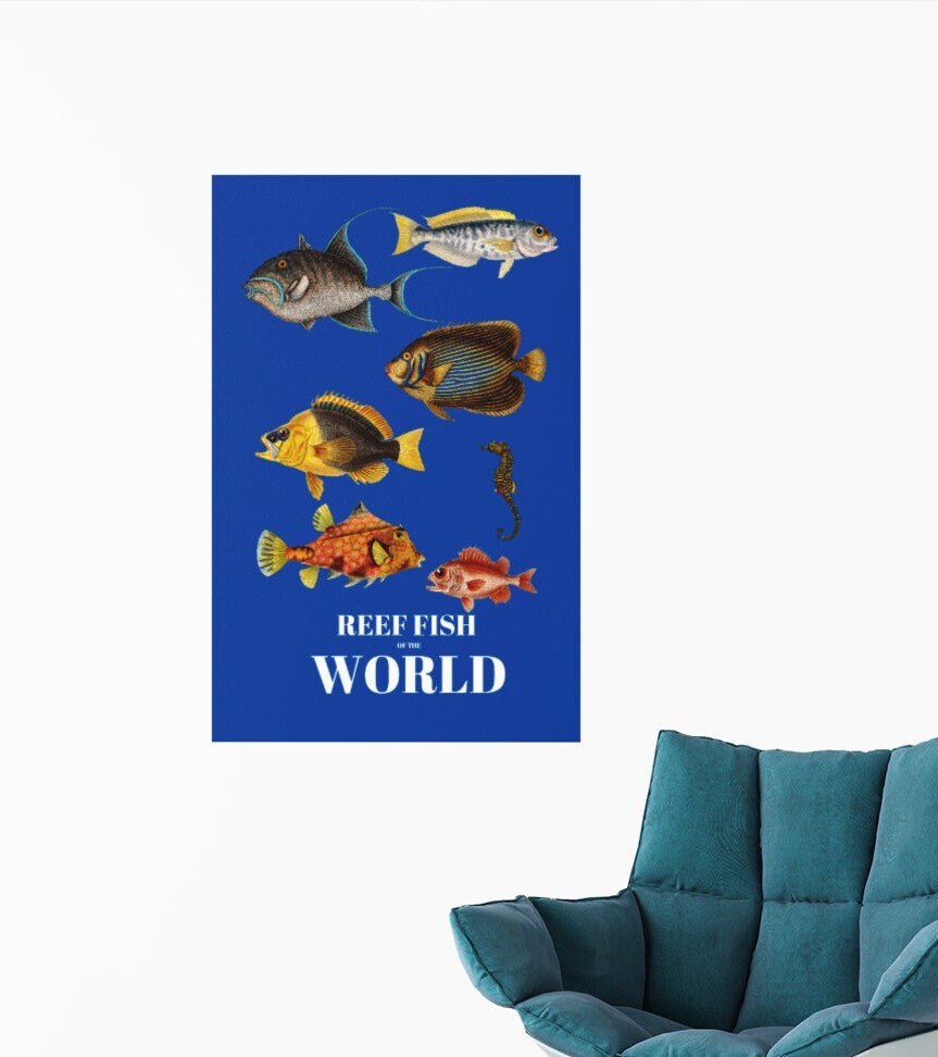 Reef Fish of the World Print Poster Education Classroom School Children ...