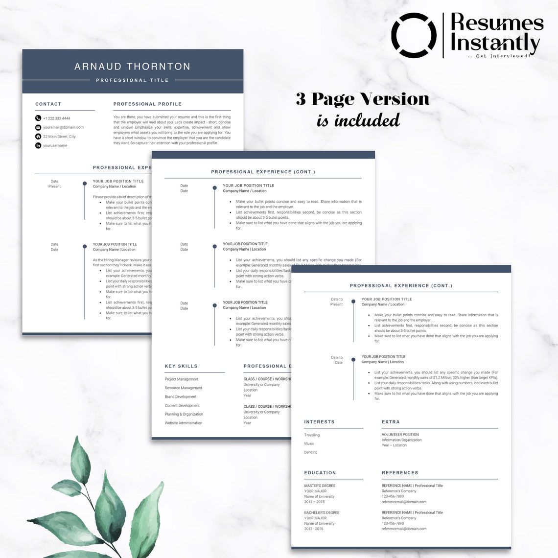 CEO Resume for Word, Executive C Level Resume, Modern Executive Resume ...
