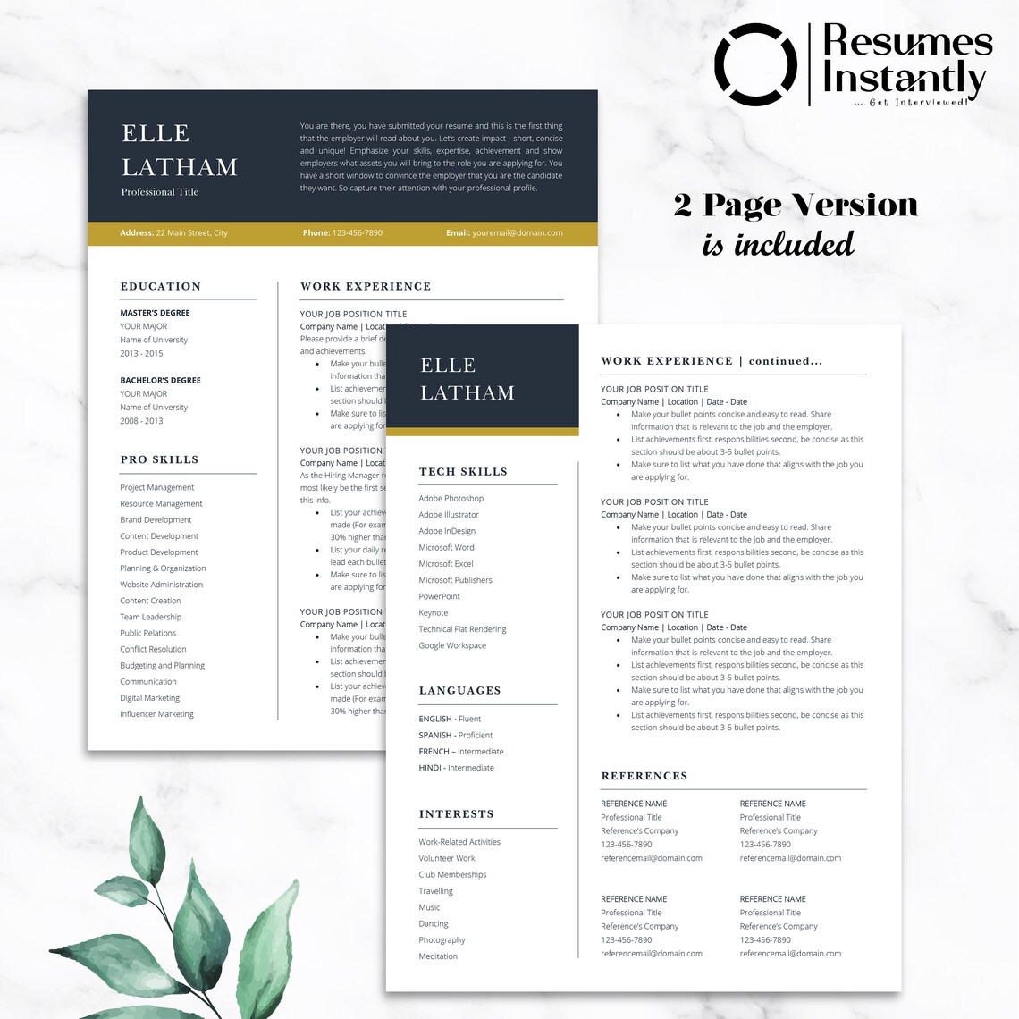 CEO Resume for Word, Executive C Level Resume, Modern Executive Resume ...