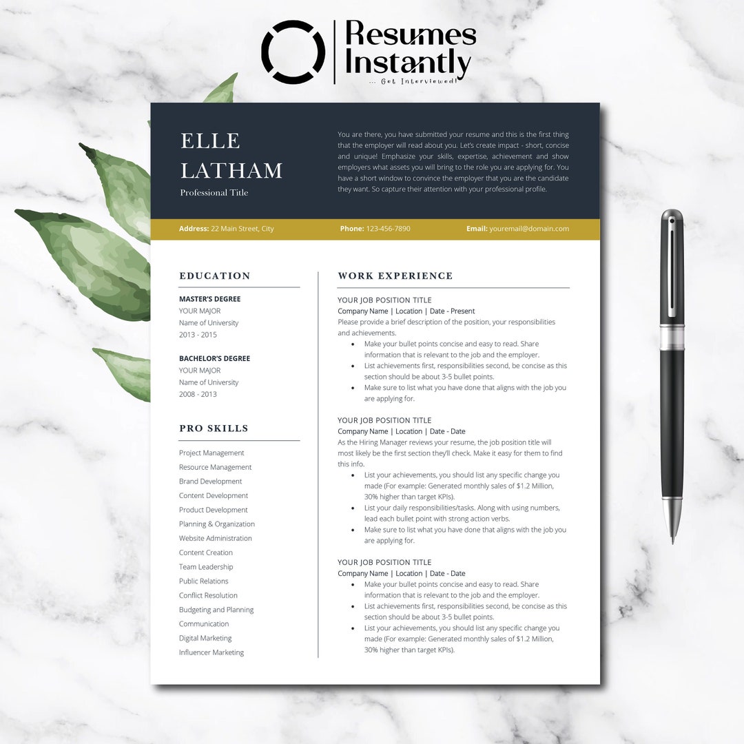CEO Resume for Word, Executive C Level Resume, Modern Executive Resume ...
