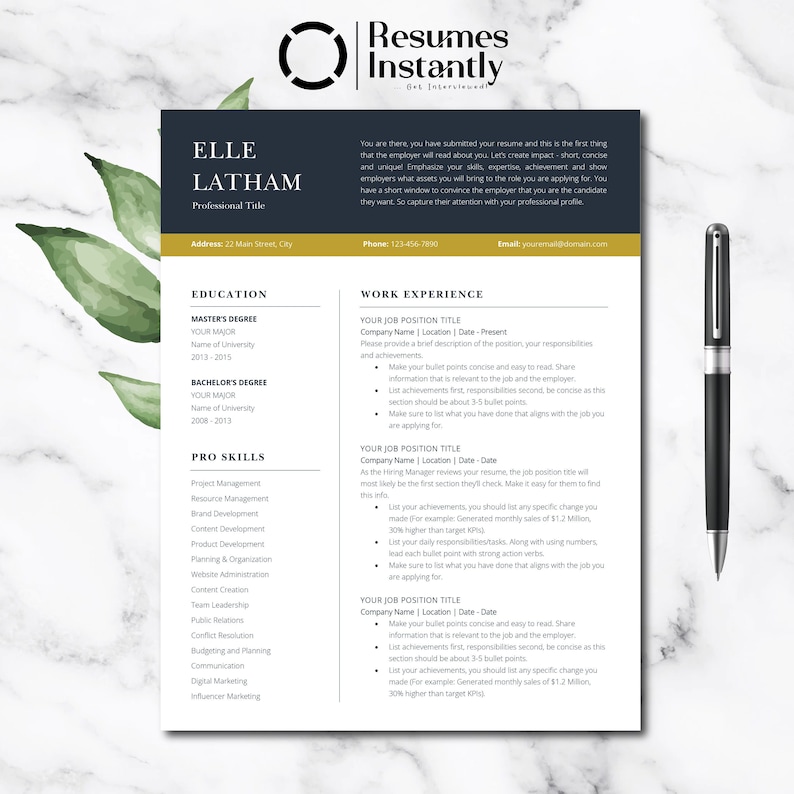 CEO Resume for Word Executive C Level Resume Modern - Etsy