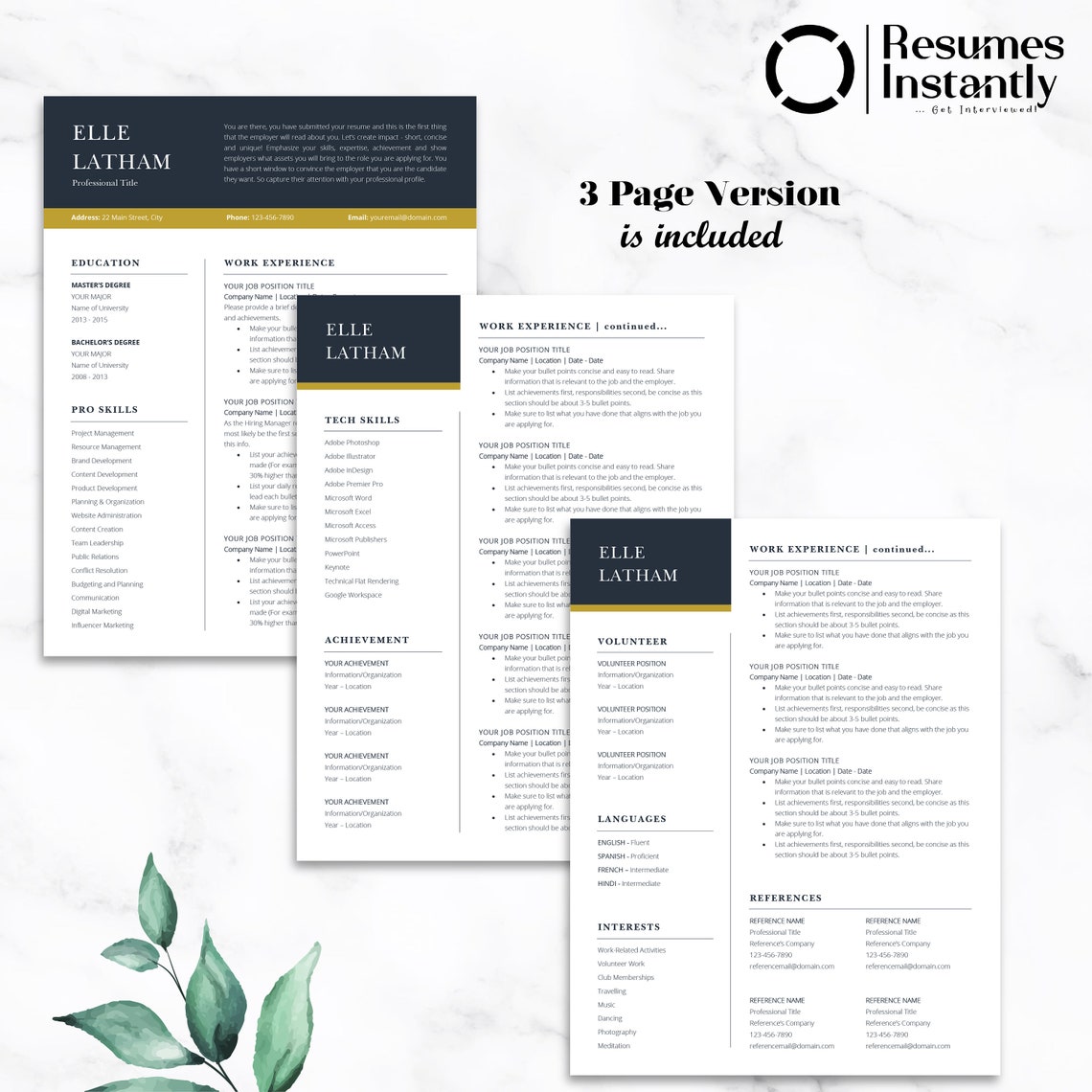 CEO Resume for Word, Executive C Level Resume, Modern Executive Resume ...