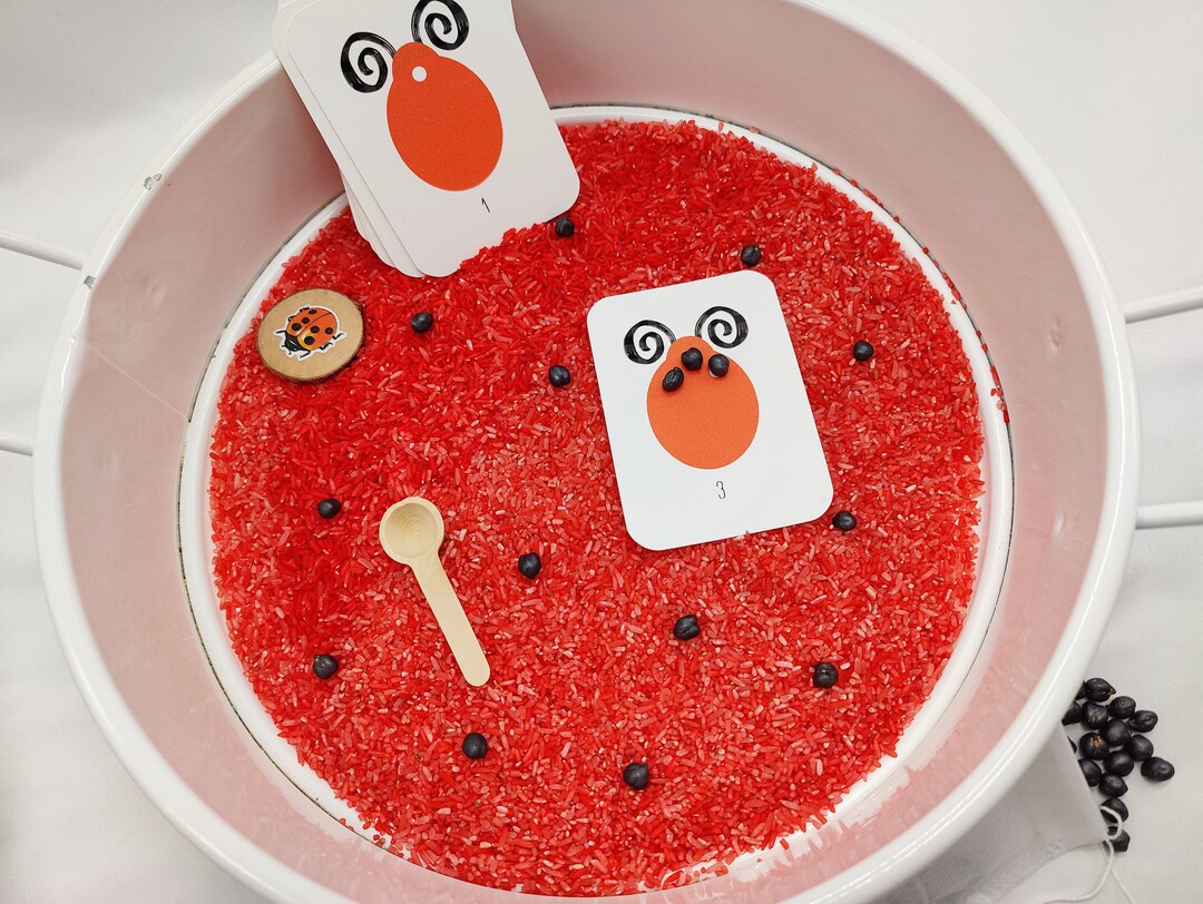 Ladybug Counting Sensory Kit Sensory Bin Busy Box Small World Play ...