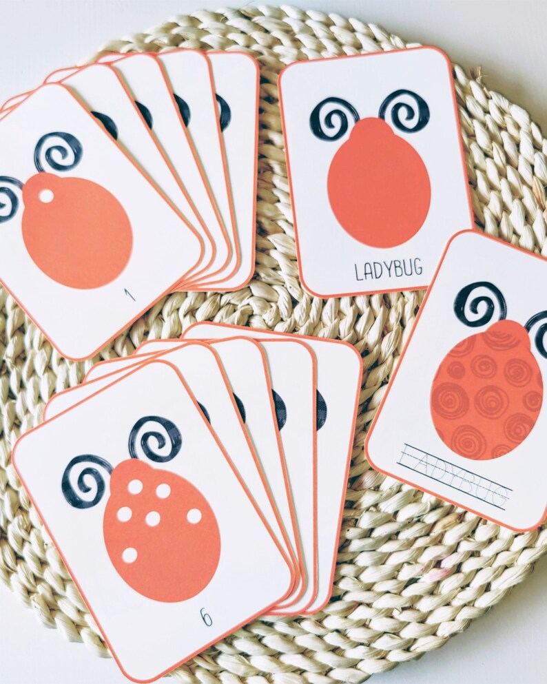 Ladybug Counting Flashcards | Printable Counting Flashcards ...