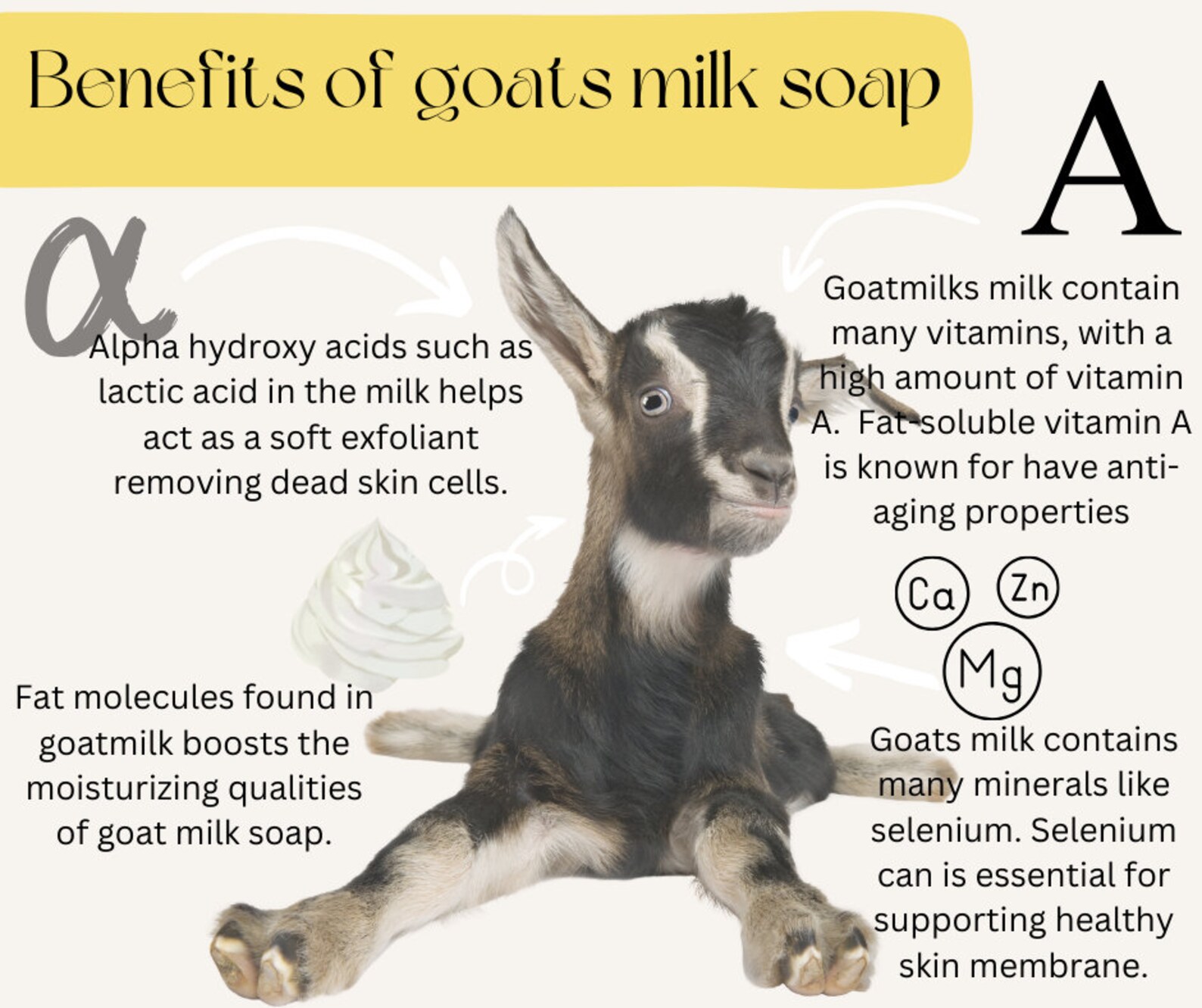 Periwinkle Goat Milk Soap Bar Raspberry Vanilla Scented Soap Handmade ...