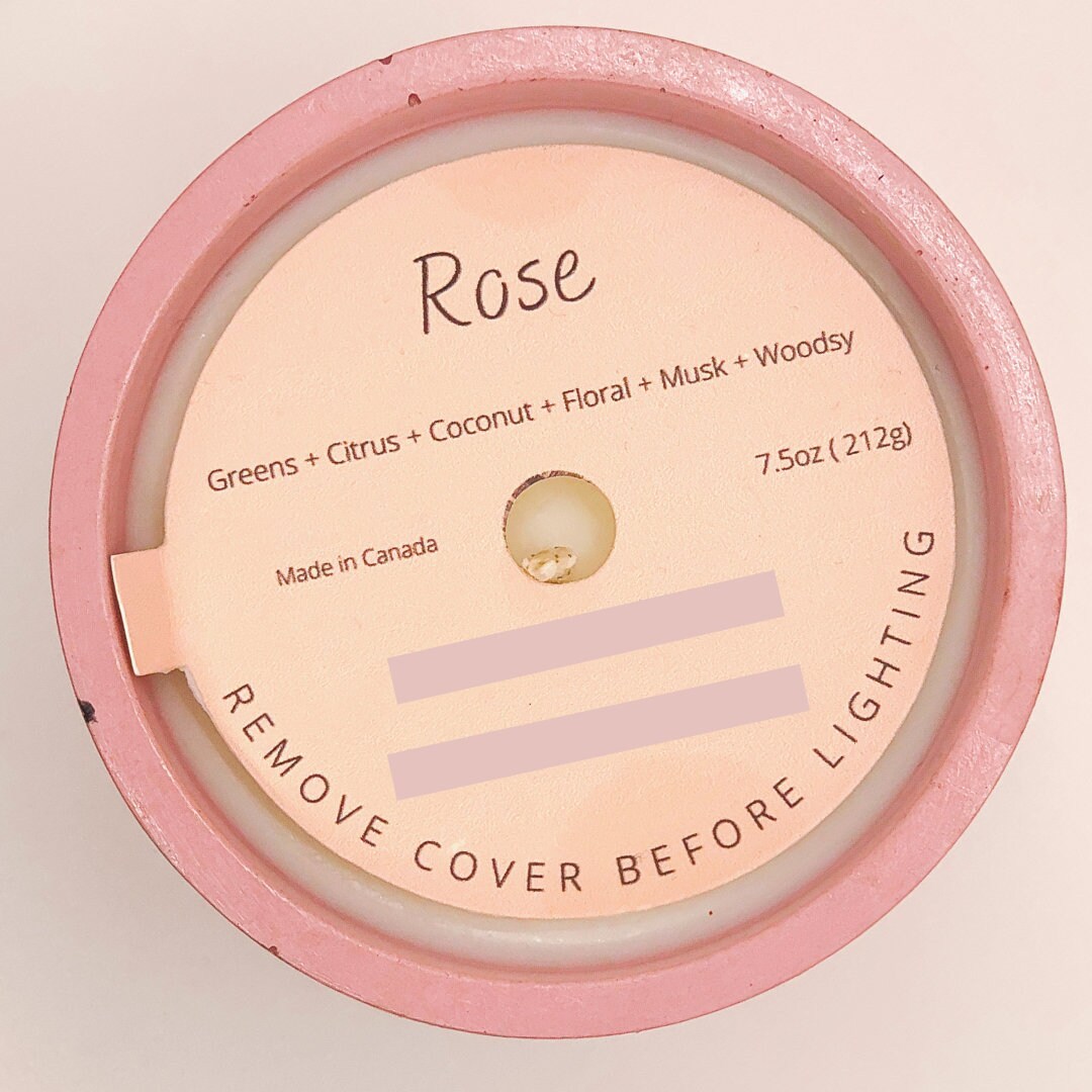 Editable Print & Cut Dust Cover - Etsy