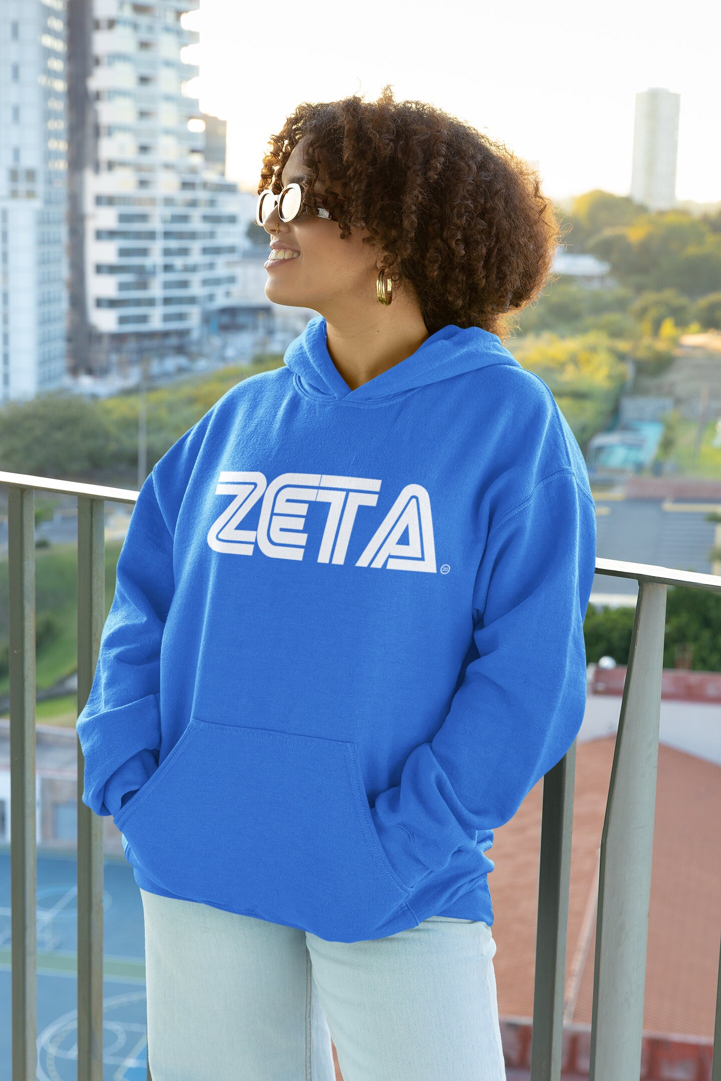 Zeta Phi Beta Sorority Retro Design Zeta Phi Beta Hoodie Zeta Phi Beta ...