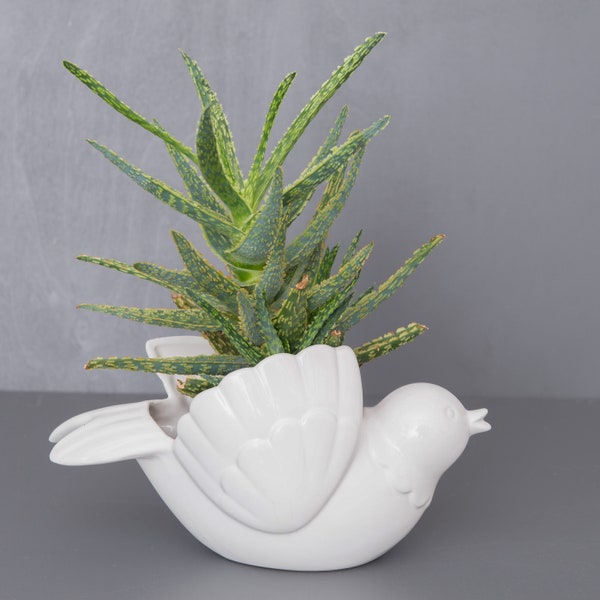 Ceramic Bird Planters - Etsy