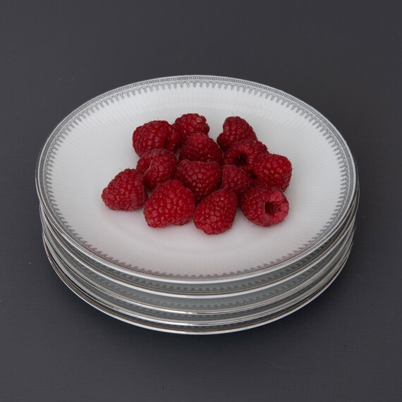 5 Seltmann Weiden monika Dessert Plates Bavaria | Etsy