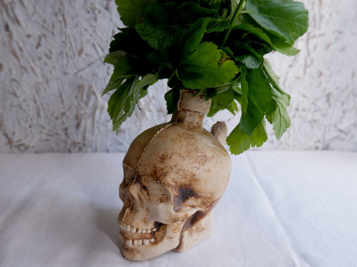Ceramic Skull Vase, Modern Punk Pottery, Gift Idea for Old School Lover ...
