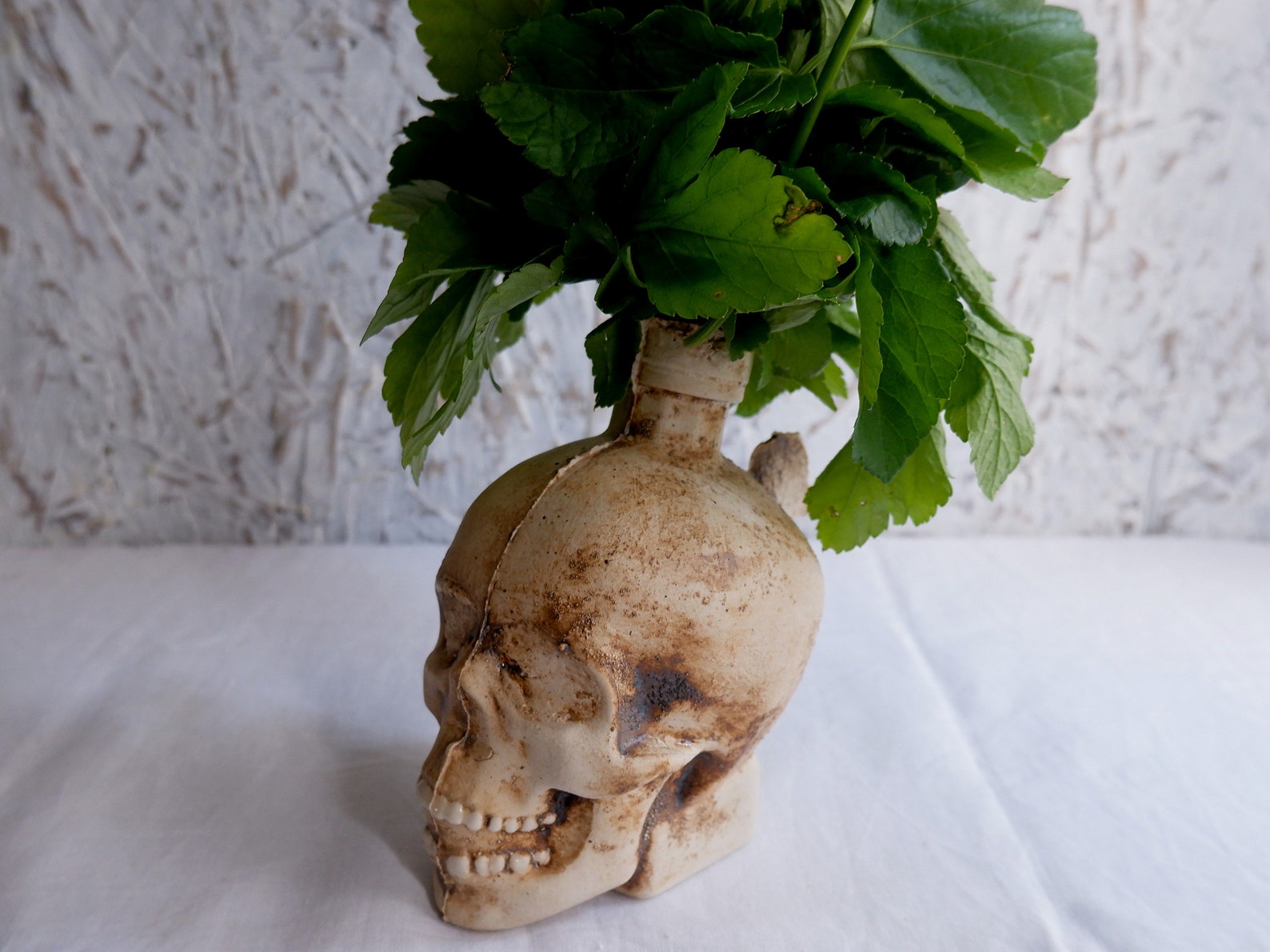 Ceramic Skull Vase, Modern Punk Pottery, Gift Idea for Old School Lover ...