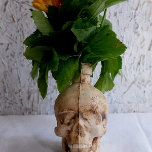 Ceramic Skull Vase, Modern Punk Pottery, Gift Idea for Old School Lover ...