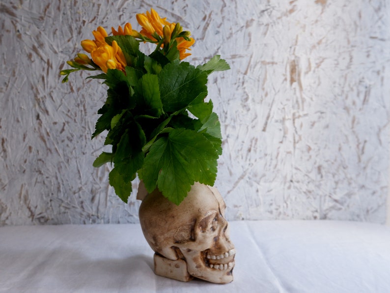 Ceramic Skull Vase, Modern Punk Pottery, Gift Idea for Old School Lover ...