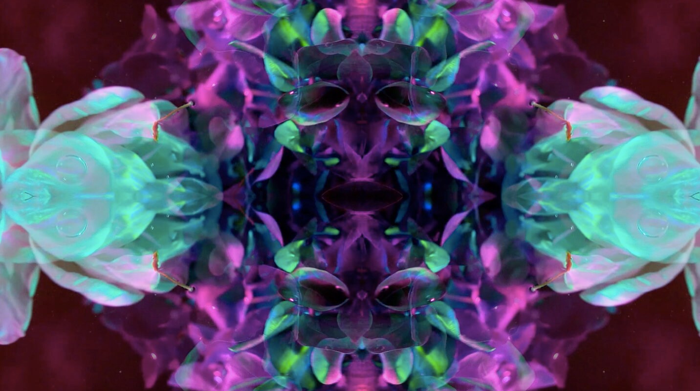 Trippy Flowers Tumblr