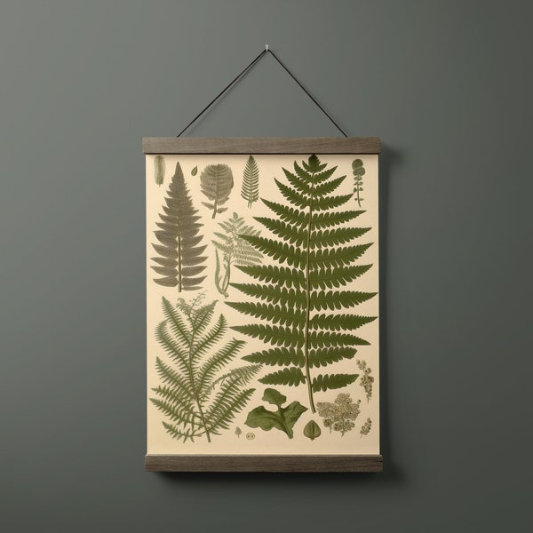 Fern Print - Etsy UK