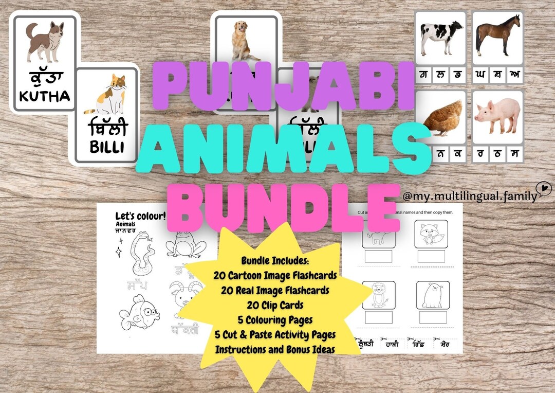 Printable Worksheet Bundle to Practice Punjabi Animal Words, Gurmukhi ...
