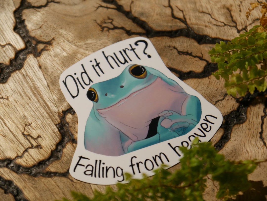 Did It Hurt frog Meme Sticker - Etsy