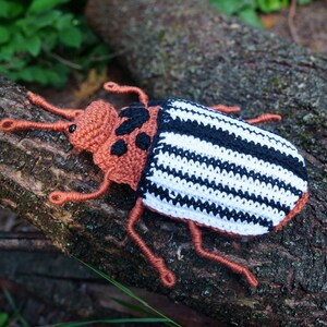 Potato Beetle Crochet Pattern - Etsy