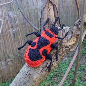 Firebug Crochet Pattern - Etsy