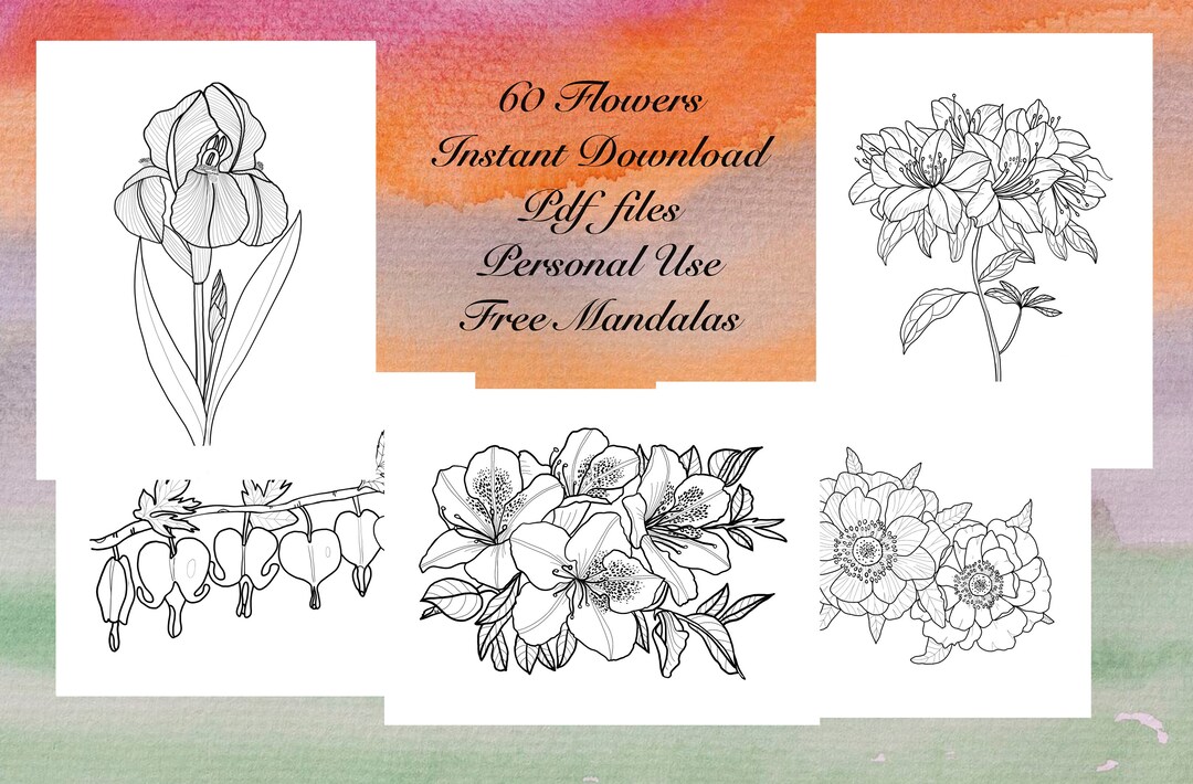 60 Printable Easy Botanical Sketches for New Artist or Art Enthusiast ...