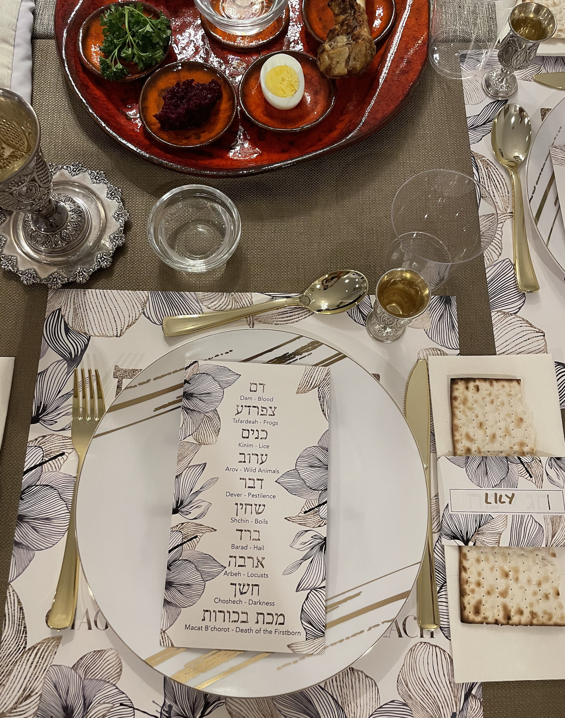 Passover Chag Sameach Paper Placemat — Set of 12 With Matching Coasters ...