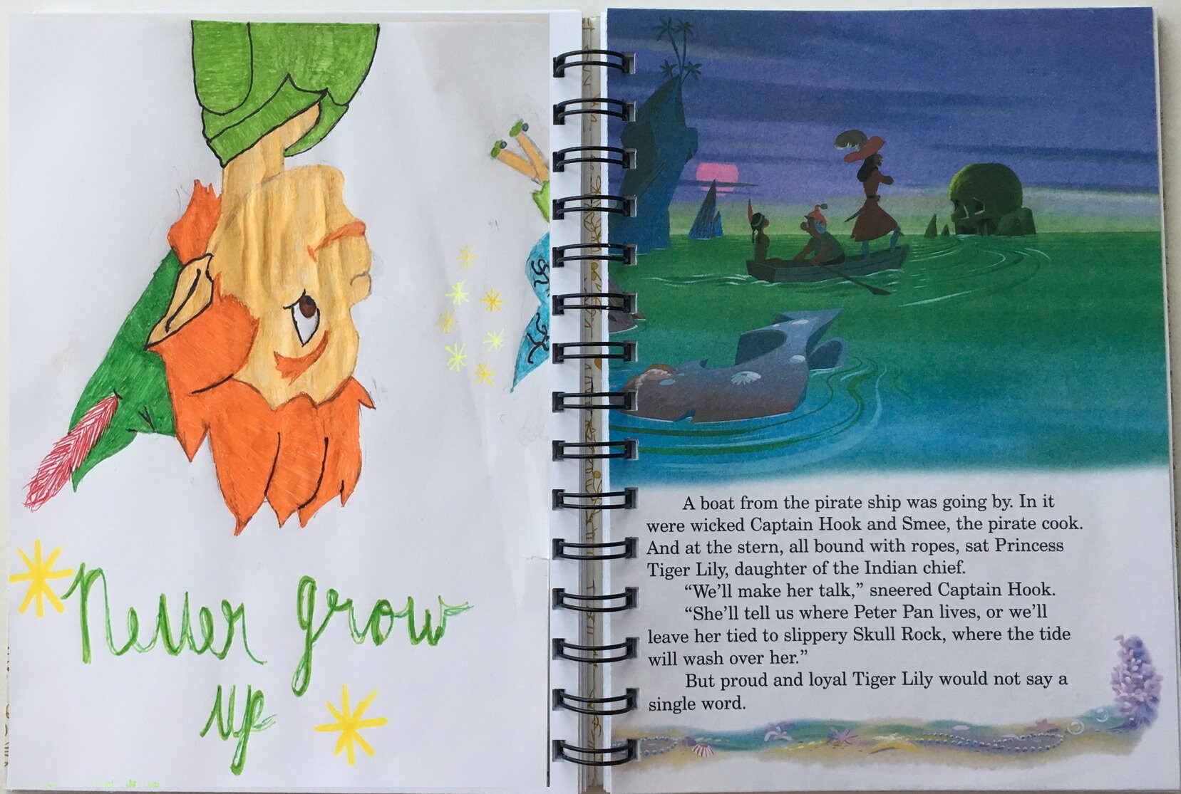 Peter Pan Journal Storybook Journal Little Golden Book - Etsy