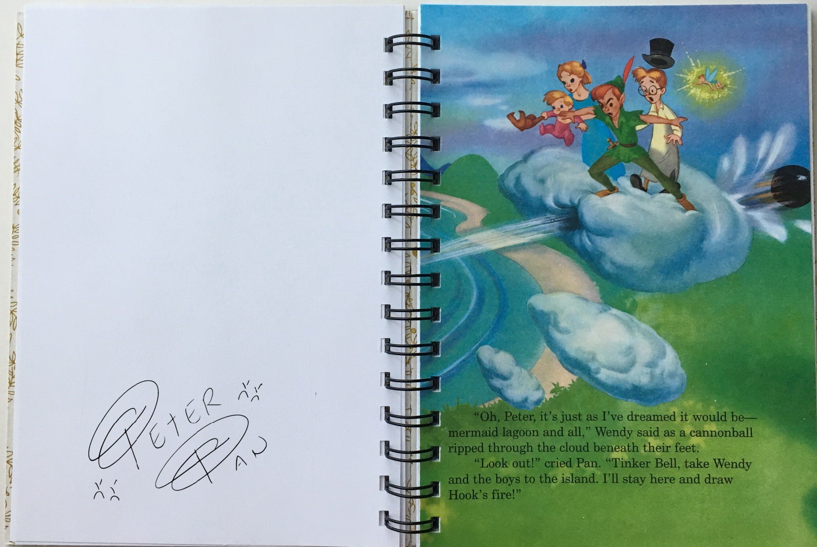 Peter Pan Journal Storybook Journal Little Golden Book - Etsy