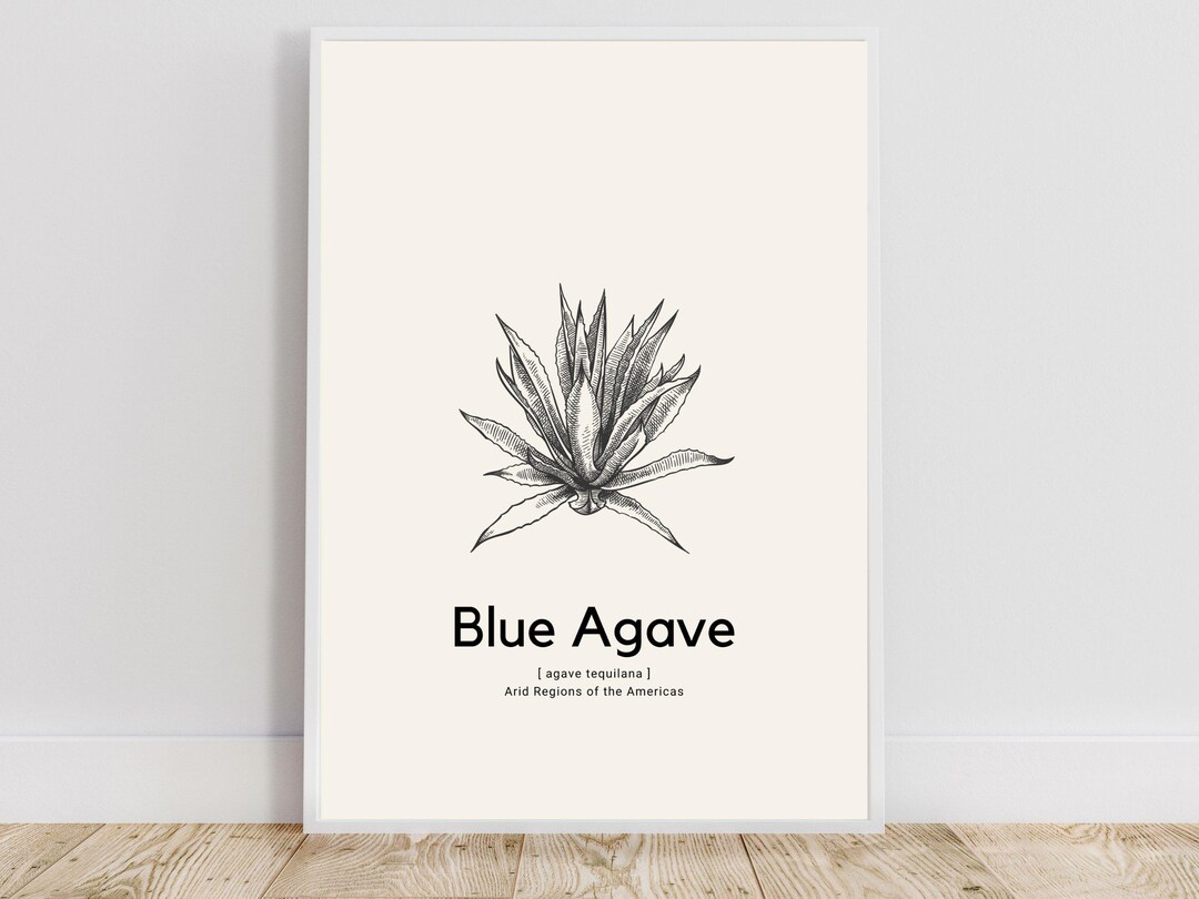Agave Plant Chart Cactus Print, California Desert Decor, Cacti Wall Art ...