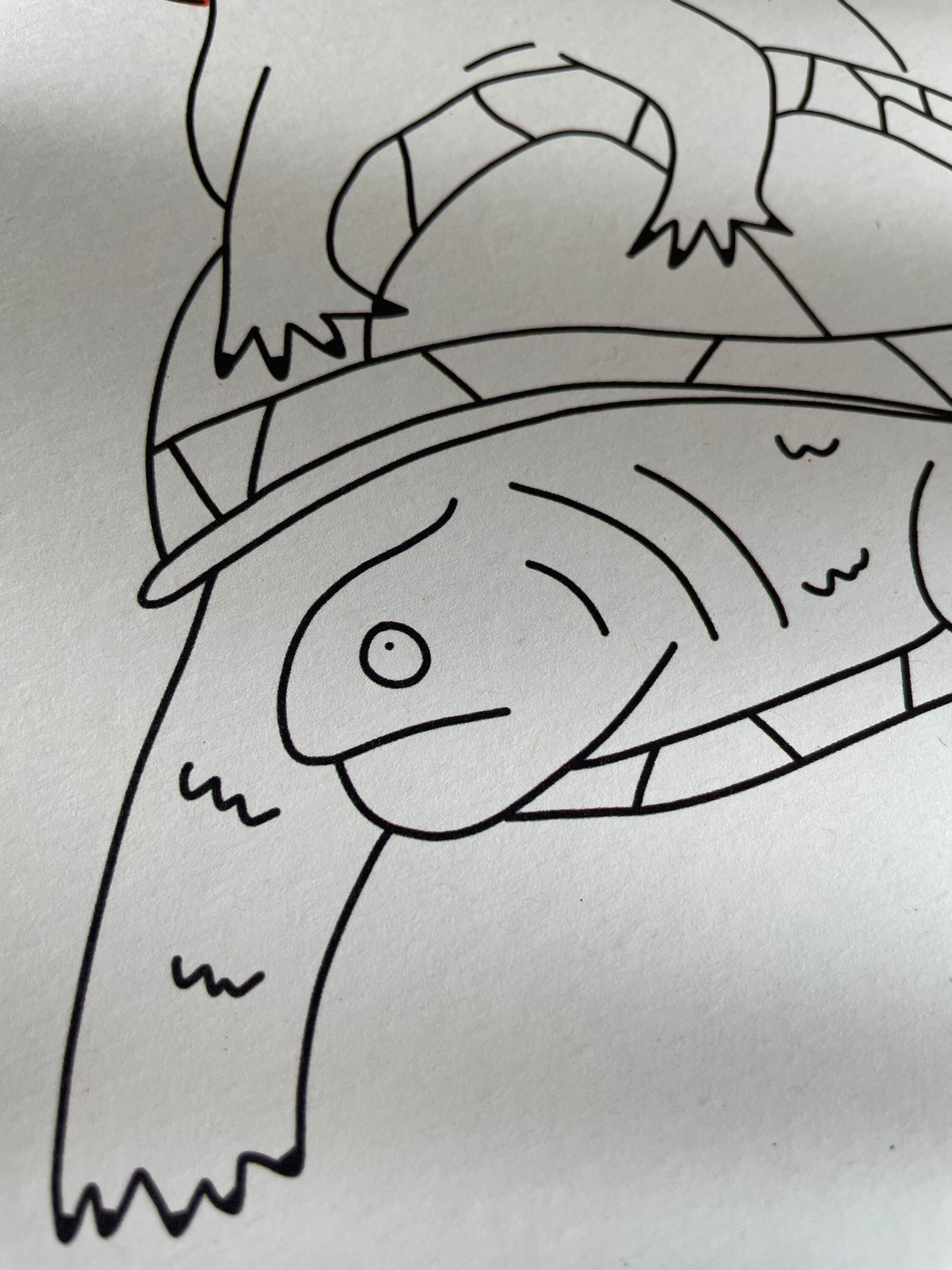 Cowboy Toad 8 X 10 Illustrated Art Print - Etsy