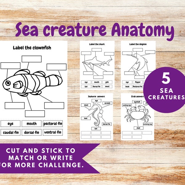 Science Labels - Etsy