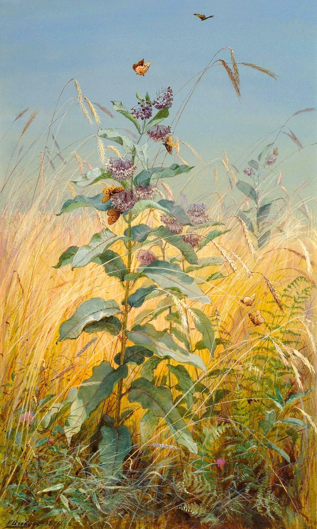 Fidelia Bridges Milkweeds Art Print: Vintage Botanical Illustration - Etsy