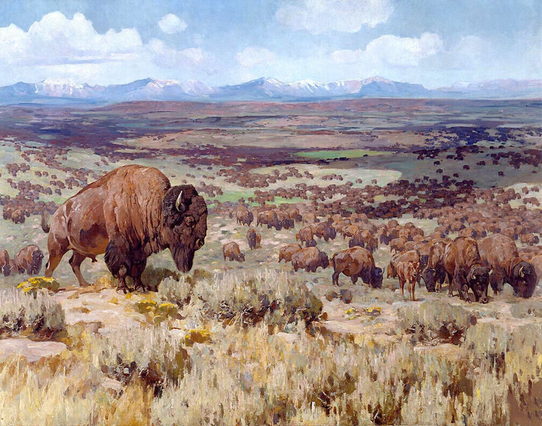 Carl Rungius Bison Print: Wyoming Range Landscape Art - Etsy